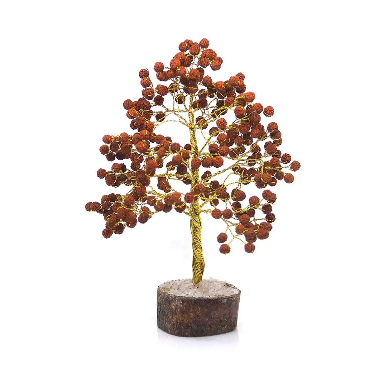 Energized Rudraksha Tree - Blessings of Lord Shiva for Prosperity and ...
